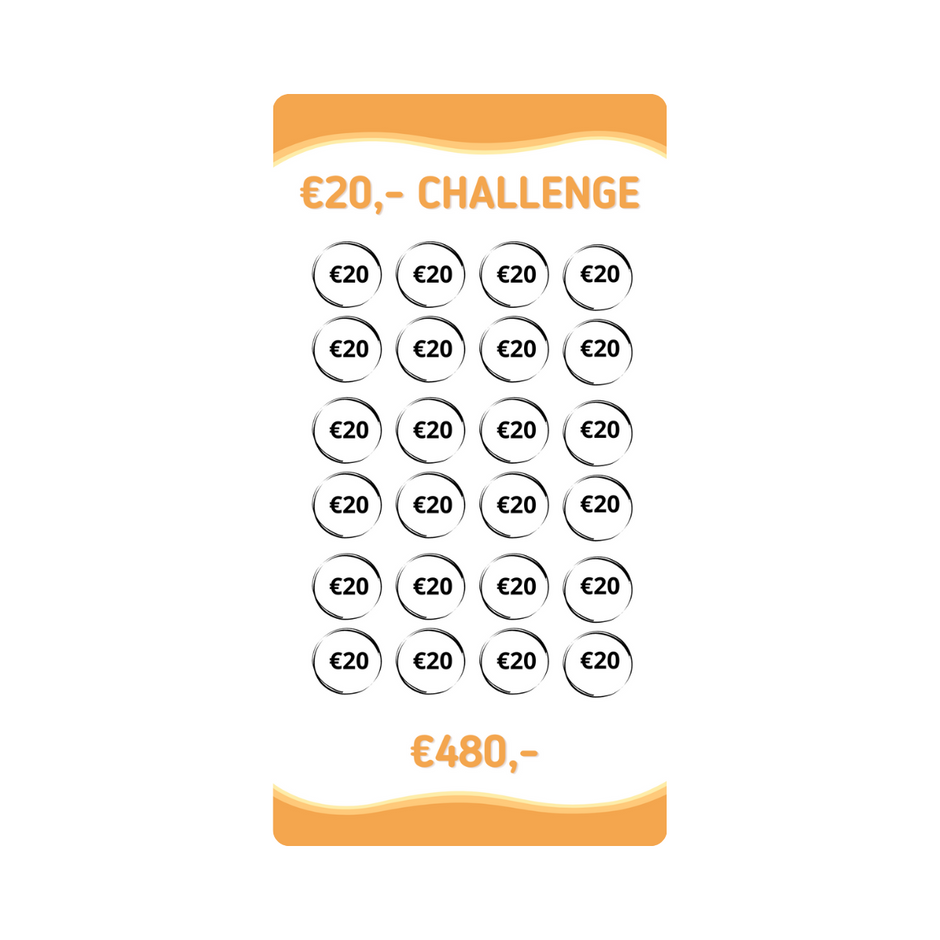 Spaar challenge én dashboards voor jouw Budget Binder bij Budget-Binder ...