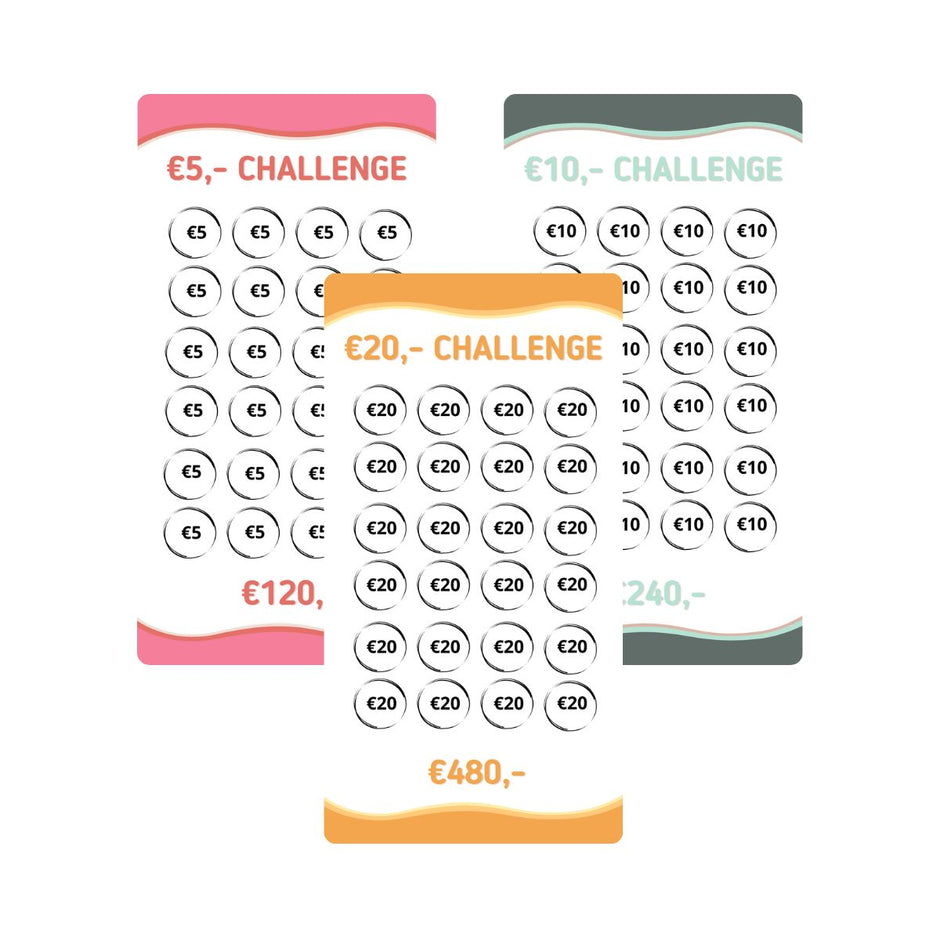 Spaar challenge én dashboards voor jouw Budget Binder bij Budget-Binder.nl