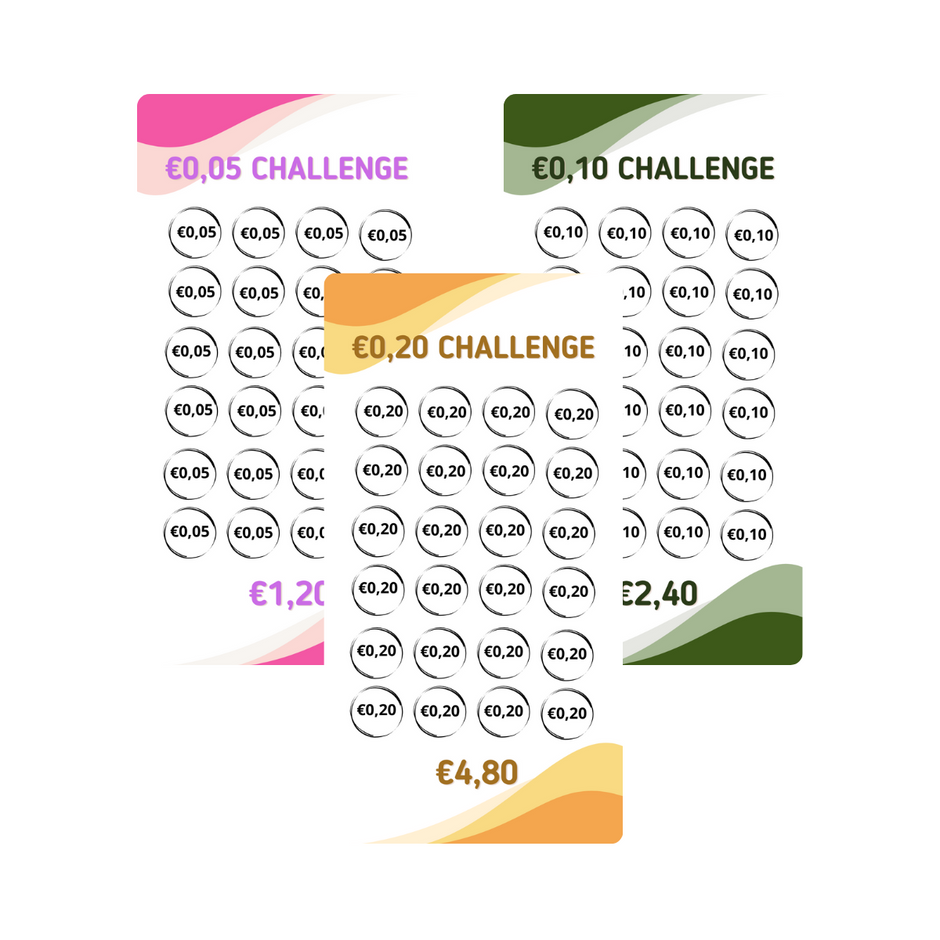 Spaar challenge én dashboards voor jouw Budget Binder bij Budget-Binder ...