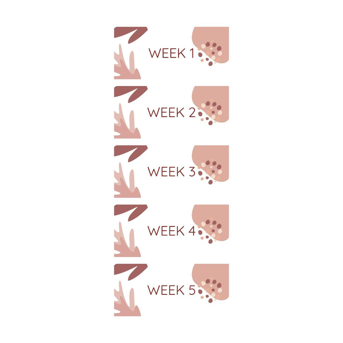 A7 Spaarchallenge Weeknummers | Budget Binder